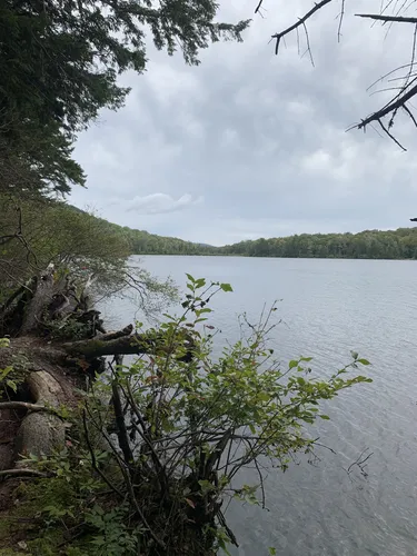 Best Hikes and Trails in Kettle Pond State Park | AllTrails