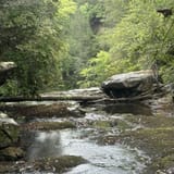 Savage Falls, Tennessee - 705 Reviews, Map | AllTrails