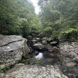 Savage Falls, Tennessee - 705 Reviews, Map | AllTrails