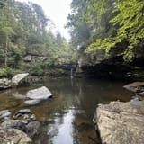Savage Falls, Tennessee - 705 Reviews, Map | AllTrails