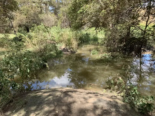 Best Hikes and Trails in Dunbar Historical Lake Park | AllTrails