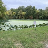 Hawk Ridge Trail, Missouri - 2,352 Reviews, Map | AllTrails