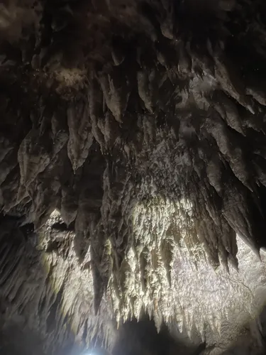 Best Hikes and Trails in Área Natural Protegida Río Encantado | AllTrails