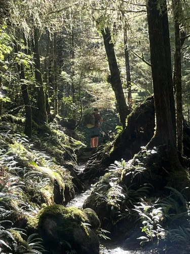 Best Long Trails in Cape Scott Provincial Park | AllTrails
