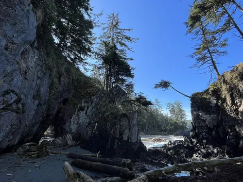 Best Long Trails in Cape Scott Provincial Park | AllTrails