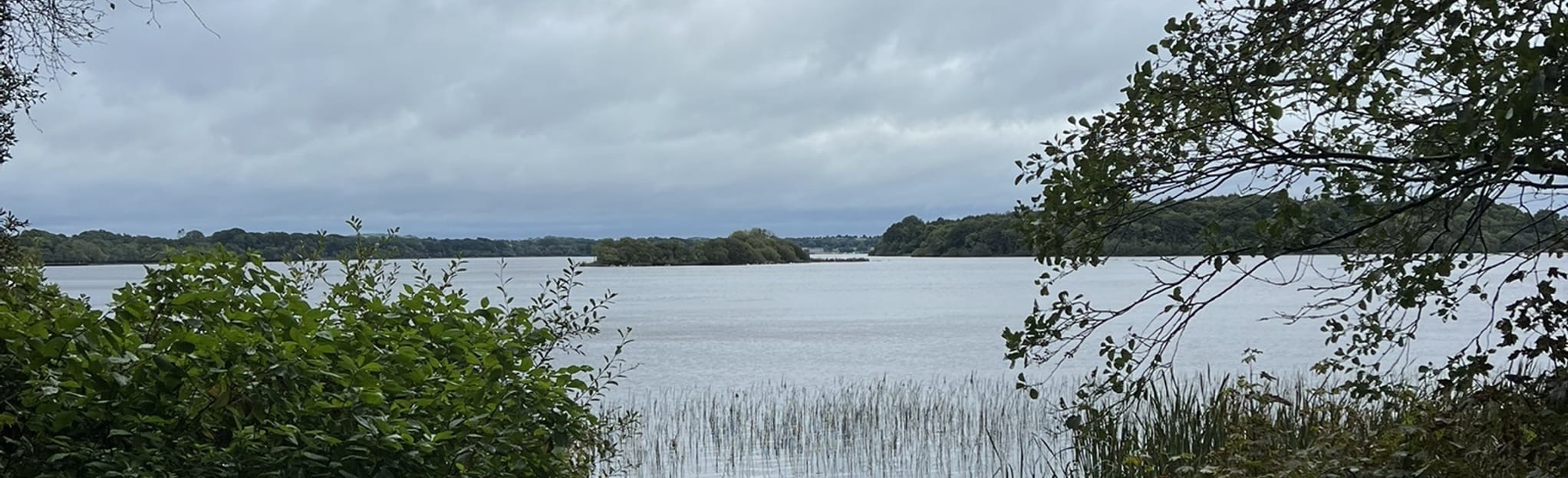 Deerpark Forest, County Cavan, Ireland - 46 Reviews, Map | AllTrails