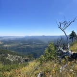 Crow Peak Trail, South Dakota - 842 Reviews, Map | AllTrails