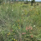 Parque Ecológico Presa Tarango, State of Mexico, Mexico - 7 Reviews ...