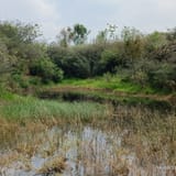 Parque Ecológico Presa Tarango, State of Mexico, Mexico - 7 Reviews ...