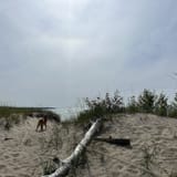 Inverhuron Provincial Park, Ontario, Canada - 453 Reviews, Map | AllTrails