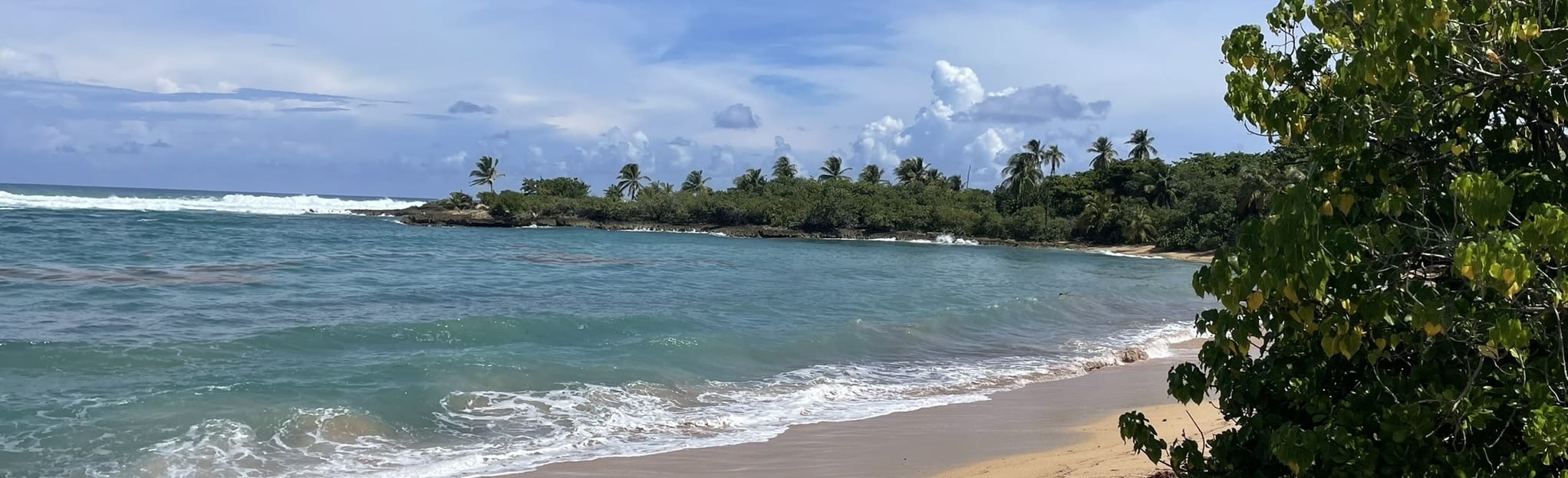 Paseo de Piñones, East Region, Puerto Rico - 41 Reviews, Map | AllTrails