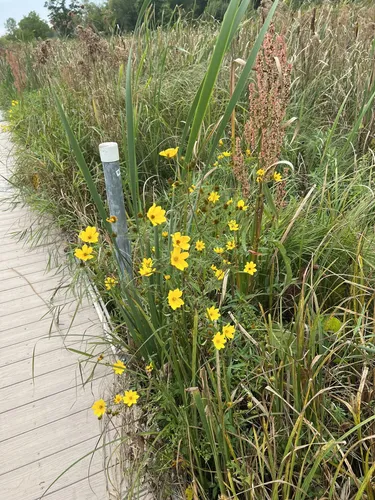 Best Hikes and Trails in Volo Bog State Natural Area | AllTrails