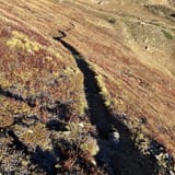 Butler Gulch Trail, Colorado - 2,484 Reviews, Map | AllTrails