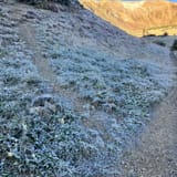 Butler Gulch Trail, Colorado - 2,484 Reviews, Map | AllTrails