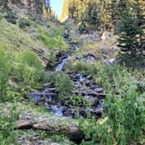 Butler Gulch Trail, Colorado - 2,484 Reviews, Map | AllTrails