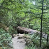 Watson Falls, Oregon - 998 Reviews, Map | AllTrails