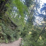Watson Falls, Oregon - 998 Reviews, Map | AllTrails