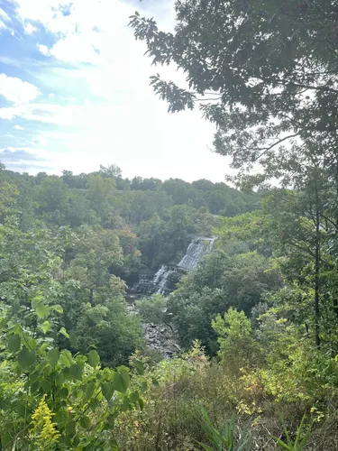 Best Hikes and Trails in King's Forest Park | AllTrails