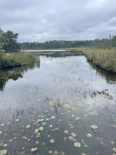 Best Hikes and Trails in Blue Lake Provincial Park | AllTrails