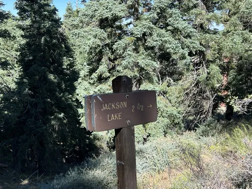 2023 Best Views Trails in Pinon Hills | AllTrails
