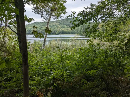 2023 Best Lake Trails in West Lebanon | AllTrails