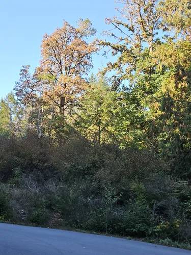 Best 10 Hiking Trails in Metchosin Wilderness Park | AllTrails