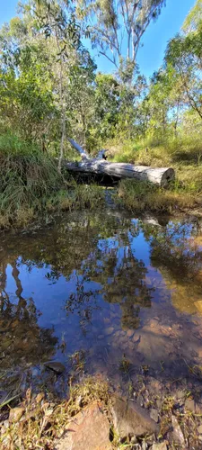 Best Hikes and Trails in Baga National Park | AllTrails