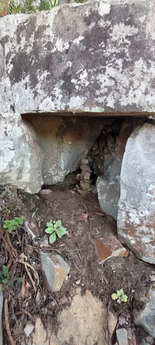 Best Hikes and Trails in Baga National Park | AllTrails