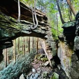 Split Bow Arch Loop, Kentucky - 200 Reviews, Map | AllTrails