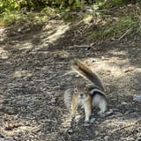 Cecret Lake Trail, Utah - 3,349 Reviews, Map | AllTrails