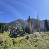 Cecret Lake Trail, Utah - 3,349 Reviews, Map | AllTrails