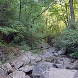 Stiles Falls, Virginia - 521 Reviews, Map | AllTrails