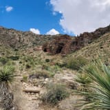 Aztec Cave Trail, Texas - 1,503 Reviews, Map | AllTrails