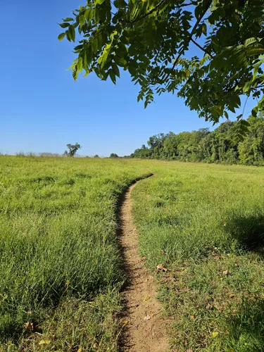 Best Hikes and Trails in Middle Run Valley Park | AllTrails