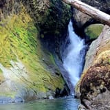 Santiam Wagon Road to House Rock, Oregon - 462 Reviews, Map | AllTrails