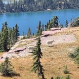 Hidden Lake, Montana - 2,340 Reviews, Map | AllTrails