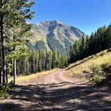 Mount Haig Lake Trail, Alberta, Canada - 401 Reviews, Map | AllTrails
