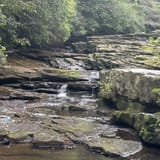 Savage Falls, Tennessee - 705 Reviews, Map | AllTrails