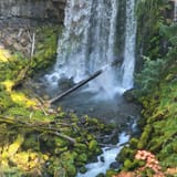 Warm Springs Falls Trail, Oregon - 121 Reviews, Map | AllTrails
