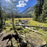 Spruce Creek Loop, Colorado - 1,558 Reviews, Map | AllTrails