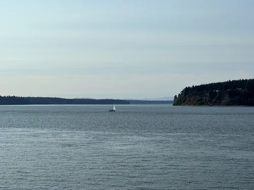 Best Hikes and Trails in Chambers Creek Park | AllTrails