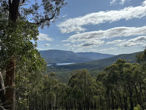 10 Best Hikes and Trails in Yarra Ranges National Park | AllTrails