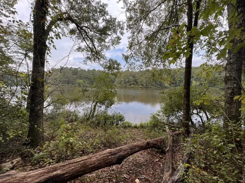 Best Hikes and Trails in Forever Wild Coon Creek Tract Nature Preserve ...