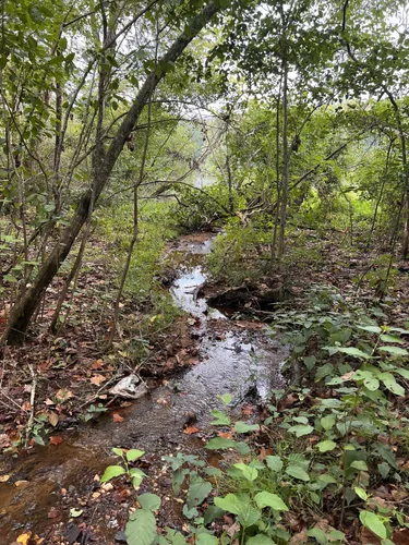 Best Hikes and Trails in Forever Wild Coon Creek Tract Nature Preserve ...