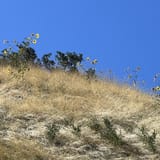 Memory Grove Trail, Utah - 1,252 Reviews, Map | AllTrails