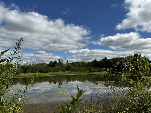 Best Forest Trails in Kickapoo Valley Reserve | AllTrails