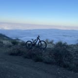 Harding Truck Trail, California - 210 Reviews, Map | AllTrails