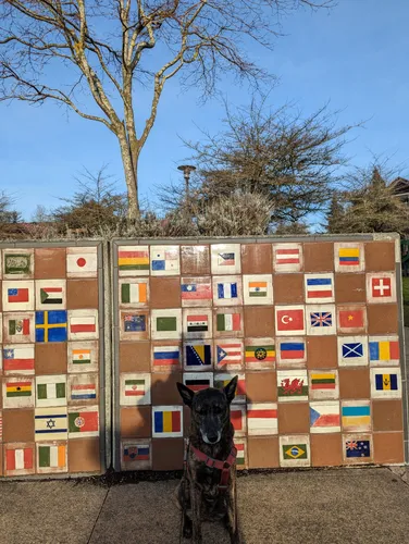 Best Hikes and Trails in Crossroads Park | AllTrails