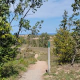 Pierce Stocking Scenic Drive, Michigan - 280 Reviews, Map | AllTrails