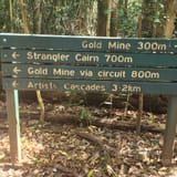 Conondale Range Great Walk: Booloumba Creek - Wongai Camp, Queensland ...